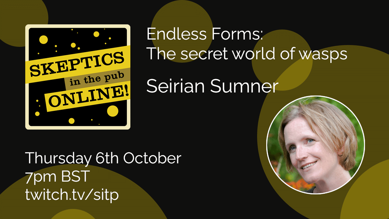 Endless Forms: The secret world of wasps - Seirian Sumner - Skeptics in ...